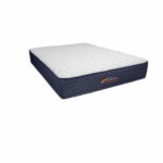 American Splendor | Metro Mattress