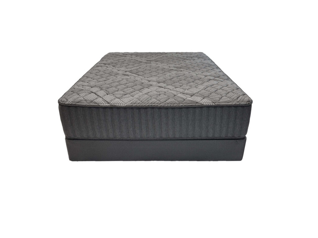 Buy Spring Air Back Supporter Newport Firm Queen Mattress